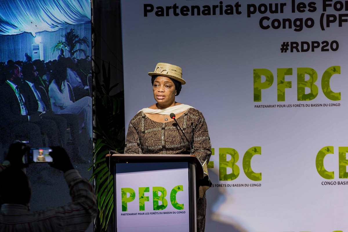 DRC: Transition at the Ministry of Environment - PFBC-CBFP