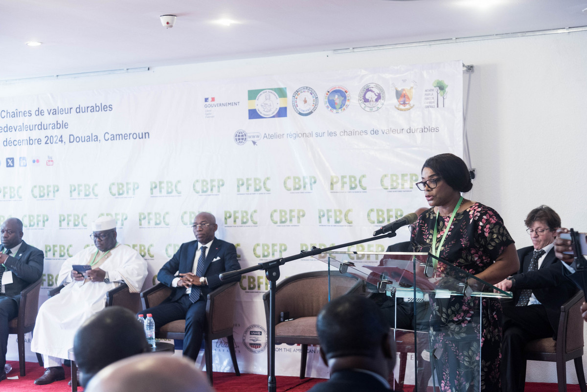 Final statement and recommendations - PFBC-CBFP