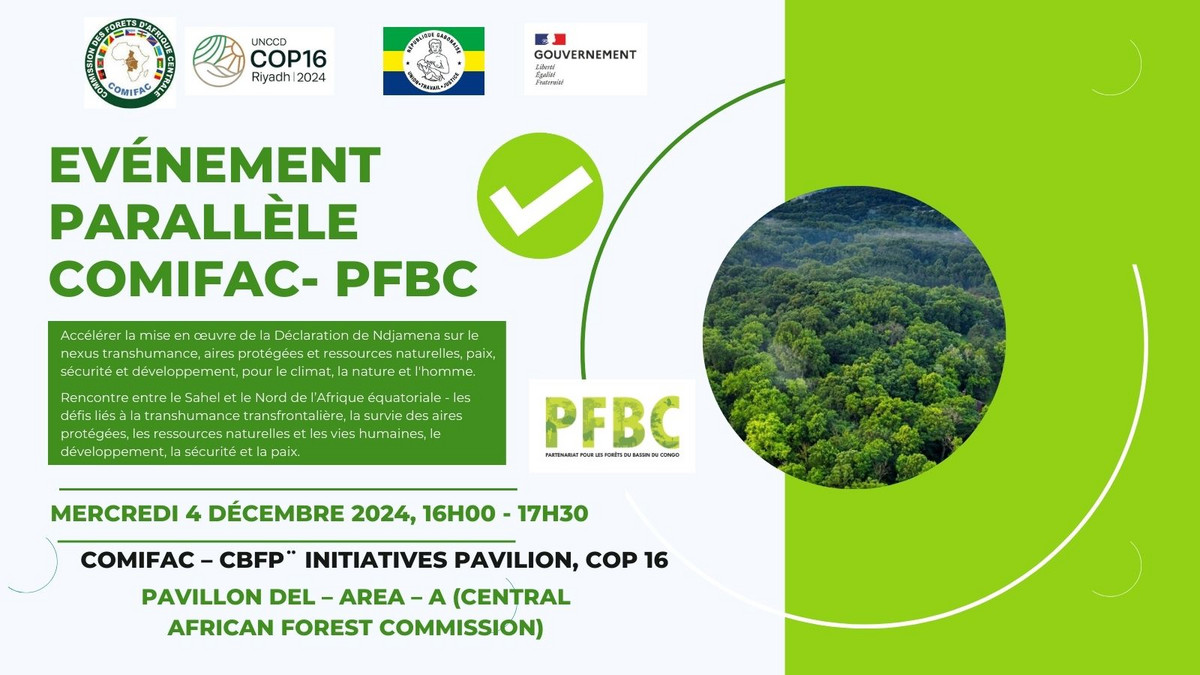 COP16 - COMIFAC CBFP side event - PFBC-CBFP