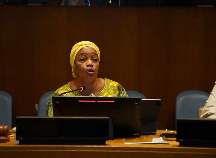 The DRC advocates for peace and the preservation of its natural ...