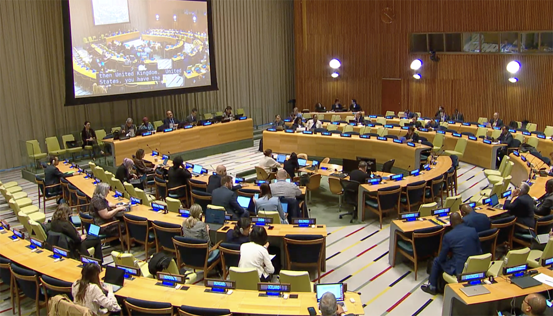 UNFF20: Forests, pillar of global sustainability – The Congo Basin at ...